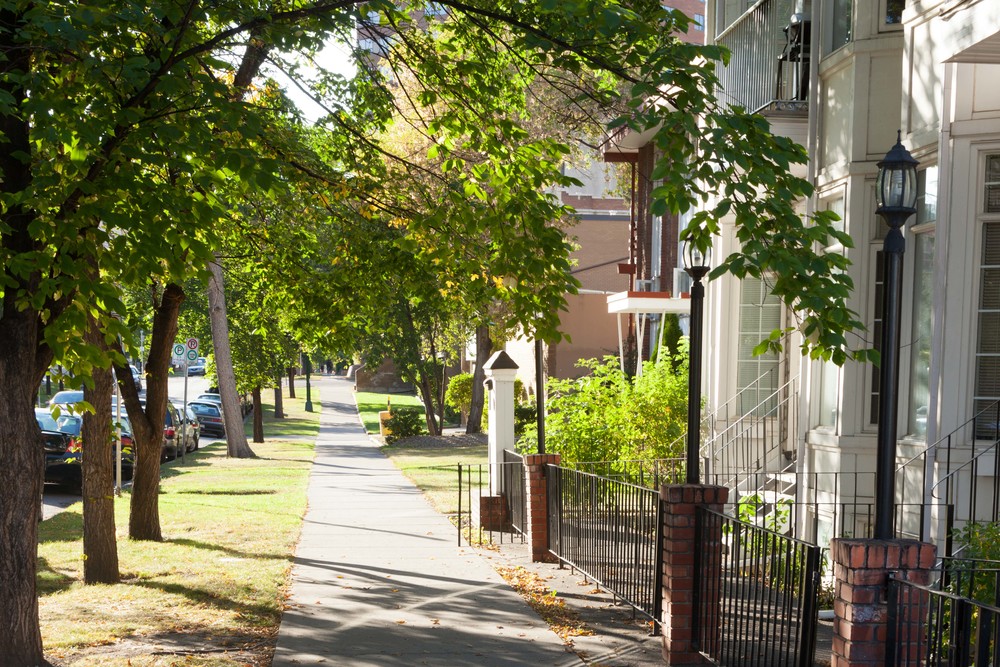 Is a city of Calgary tree on your property? - Chinook Landscaping Calgary